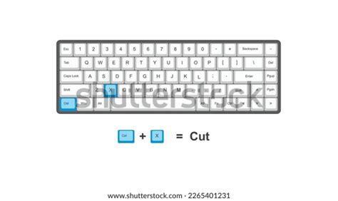 Vector Control Ctrl X Cut Keyboard Stock Vector Royalty Free 2265401231 Shutterstock