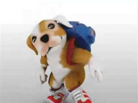 Perro Chacarron Youtube