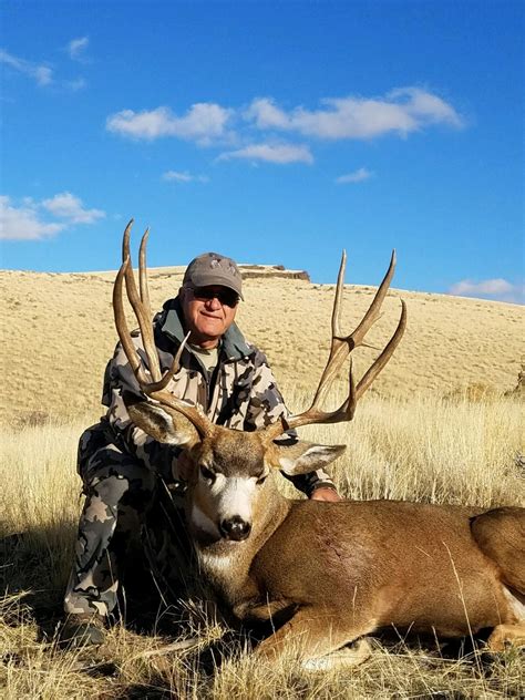 Nevada Mule Deer Hunting Nevada High Ridge Outfitters