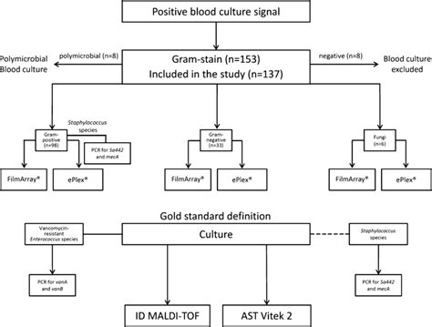 Gram Negative Rods Chart