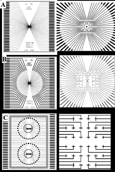 Microelectrode Array Plates In Use By The Cnns All Plates Measure 5 X Download Scientific