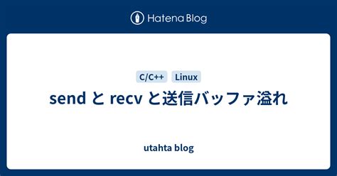 Send と Recv と送信バッファ溢れ Bits Of Log