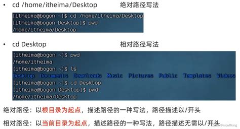 Linux常用指令和知识 1 当前工作目录内有一个test文件夹 文件夹内有一个文件hello txt 请描述文件的 CSDN博客