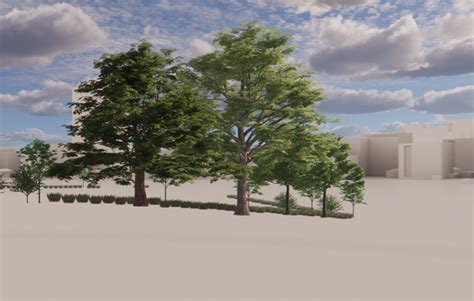 Sketchup Enscape Trees Showing As White And Blue Sketchup Enscape