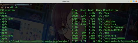 Tutohowto Ubuntudebian Montage Webdavdavfs En Ram