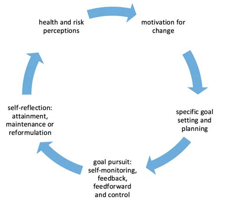Self Regulation From Theory To Practice Supporting Your Patients