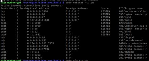 Node Js RaspberryPi Webserver Cant Access Nginx Server Via External Public Ip What Am I