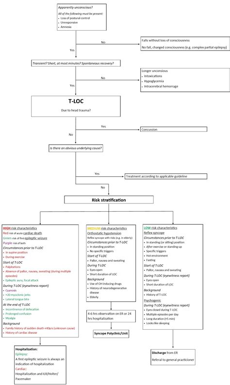 Initial Evaluation Syncopedia