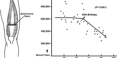 Five Simple Exercises To Prevent Age Related Muscle Loss Sarcopenia Acupuncture Today