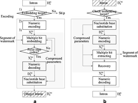 process of proposed reversible data hiding on any intron noncoding