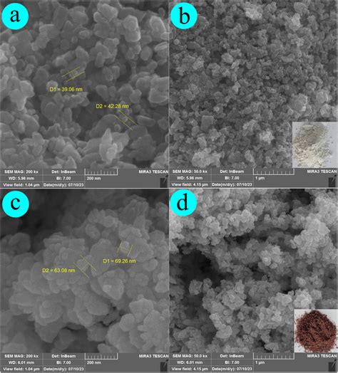 SEM Images Of A And B Ag ZnONPs And C And D Ag ZnONPs Cy In Download Scientific Diagram