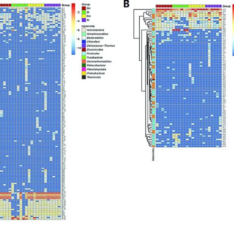 Heatmaps Of Enriched Bacterial And Fungal Genera By Amplicon Download Scientific Diagram