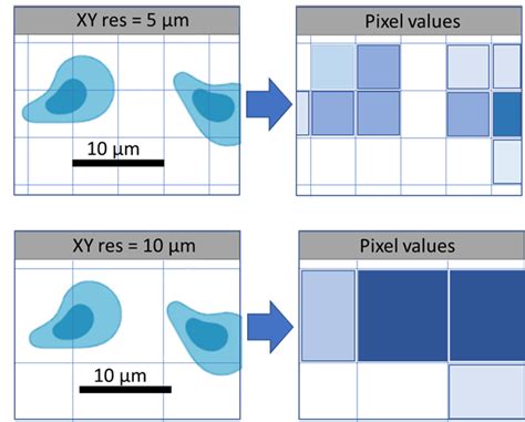 Nyquist Conditions Institute For Molecular Bioscience University Of Queensland