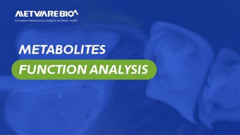 Data Analysis In Metabolomics Biomarker Research Metabolites Function