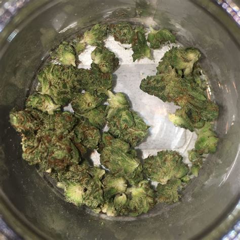 Strain Review Duct Tape Dtp From Vidacann The Highest Critic