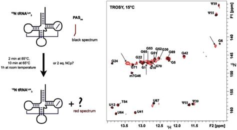 A Schematic Drawing Of The Experimental Procedure B Superimposition