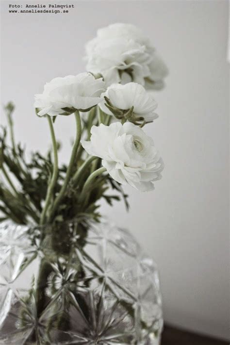 Hemtex Vas Med Ranunkler Planting Flowers Indoor Plants Vase