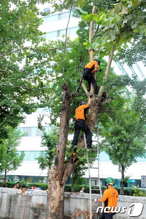 볼라벤 태풍에 따른 안전조치 활동 뉴스1