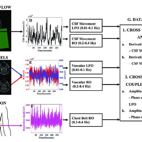 Experimental Design And Data Analysis Stream A Typical Fmri Scan Download Scientific Diagram