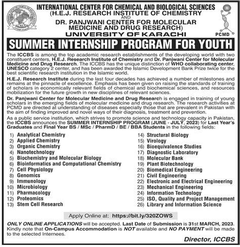 Summer Internship Program At Iccbs University Of Karachi 2025 Job Advertisement Pakistan