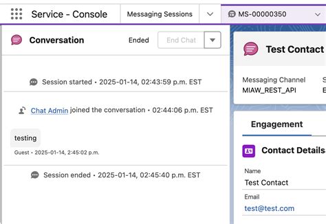Pass Pre Chat To Salesforce Messaging For In App And Web Rest Api