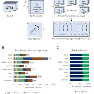 Experimental Design And Dataset Description A Schematics Of The Download Scientific Diagram