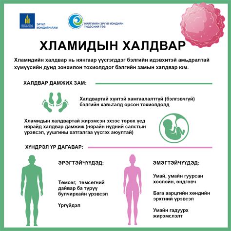 Бэлгийн замаар дамжин халдварладаг 30 гаруй төрлийн халдвар байдаг