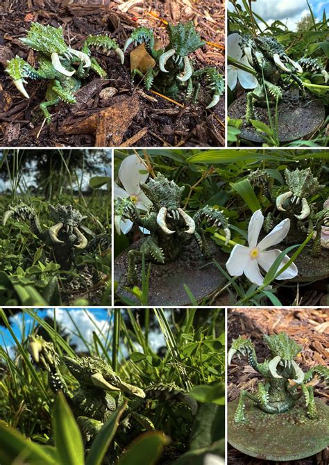 Two Bugs In Love Album On Imgur