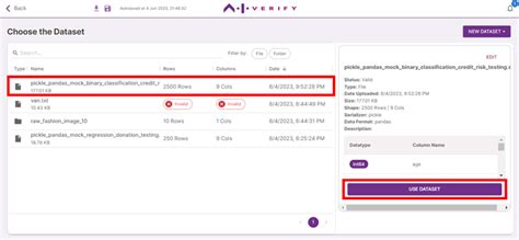 4 Select Testing Dataset Ai Verify User Guide