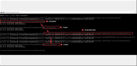 SQLServer修改服务器数据库的排序规则 大大大钢琴 博客园