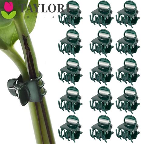 เทย์เลอร์1 คลิปสนับสนุนพืชผูกพลาสติกยึดเถาสนับสนุนสาขาหนีบปลูกสวนเครื่องมือ Shopee Thailand