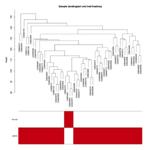 Sample Dendrogram And Soft Thresholding Value Estimation A Sample