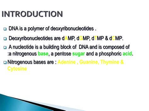 Replication In Eukaryotes And Prokaryotes Pptx Biological Sciences Science