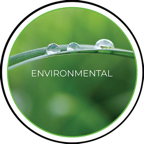 Esg Declaration Of Intent