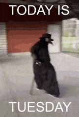 Funny Tuesday S