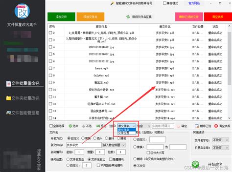 文件管理秘籍：批量重命名、复制移动及分类的专家指南件批量改名高手 Csdn博客