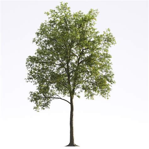 Archmodels Vol 250 3d Turbosquid 1744623