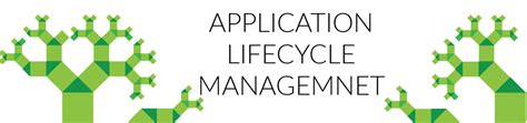 Application Lifecycle Management ALM E SPIN Group
