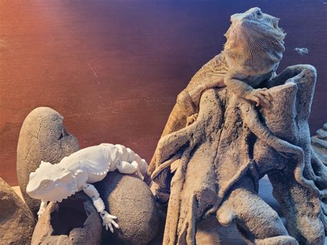 Just Finished My First Print What Have You Made Ultimaker Community Of 3d Printing Experts