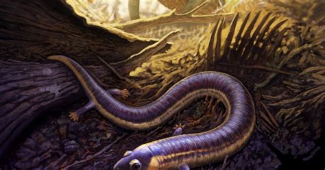 Earth Notes Funky Worm Fossil