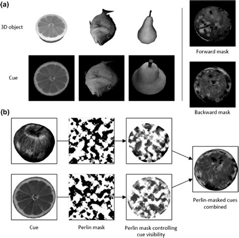 Objects Cues And Masks Used In The Experiment A Download Scientific Diagram