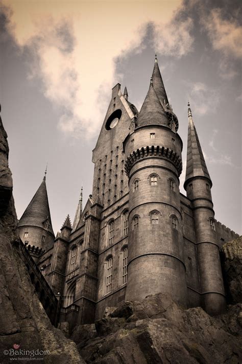 Vertical Harry Potter Wallpaper Hd 640x964 Wallpaper