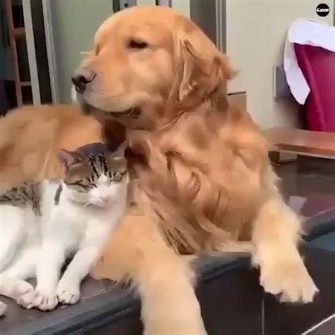 Zero Self Awareness Source Tumbex Zero Self Awareness Source Tumbex