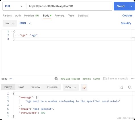 【nestjs学习日记】dto在nestjs应用程序开发中，dto（data Transfer Object）是一个重要 掘金