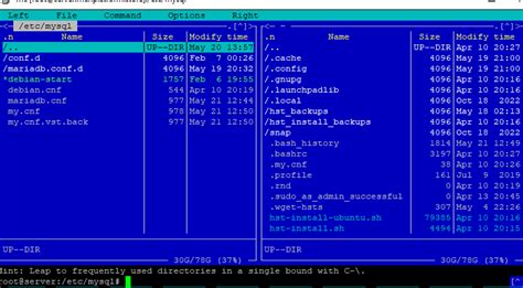 After Update 176 To 177 Configure Server Mariadb Clean Hestia
