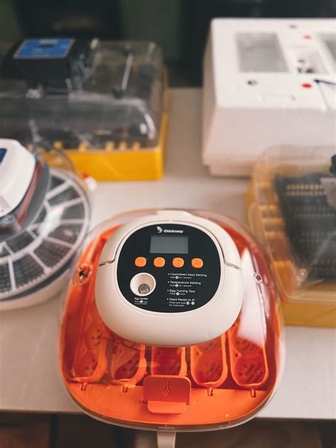The 8 Best Egg Incubators In 2025 The Homesteading Rd