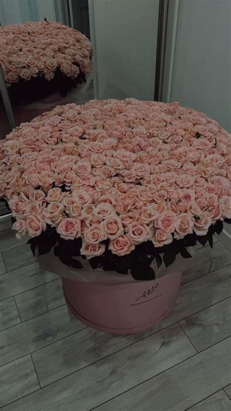 501 Роза