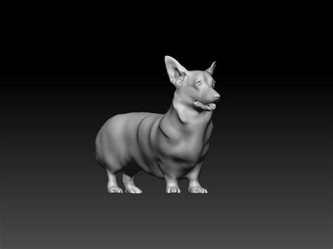 Stl File Welsh Corgi 🐠・3d Print Object To Download・cults