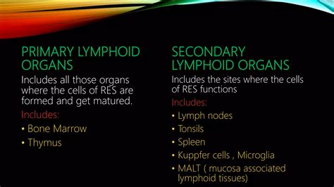 Components Development And Functions Of Res Reticulo Endo Thelial