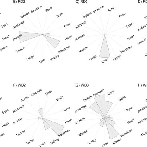 Distribution Of Arsenic As Per Tissue Per Individual Download